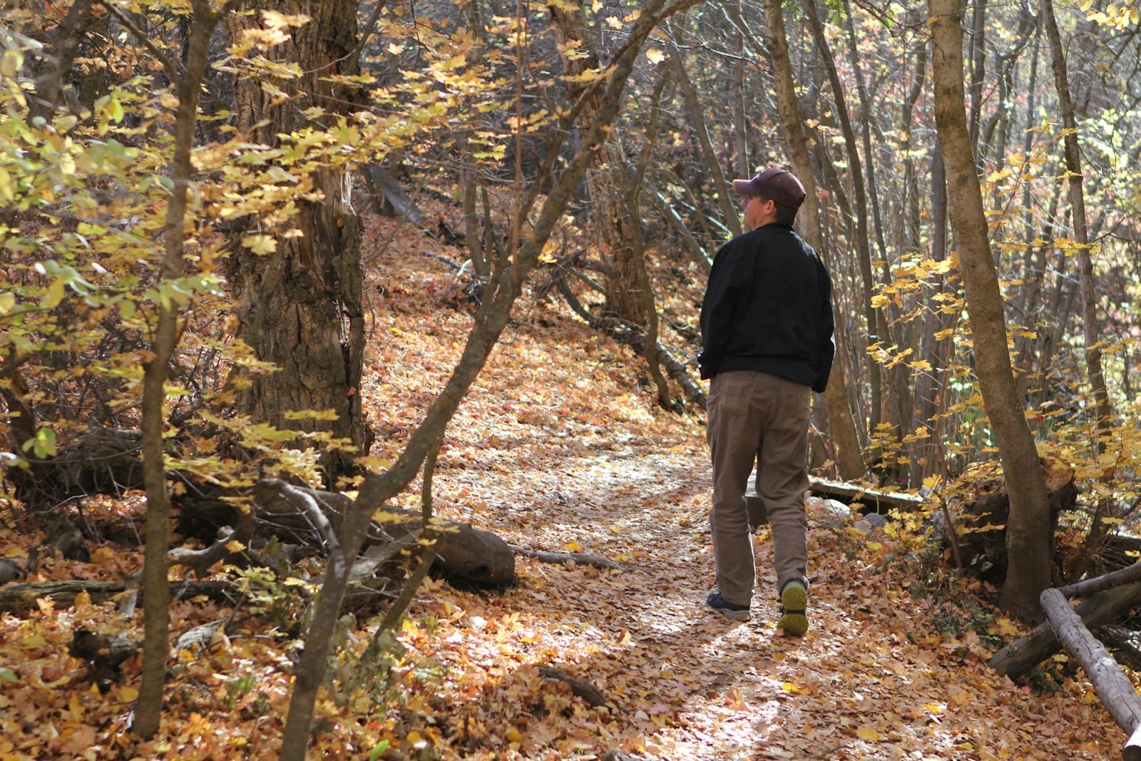 5 Life Lessons From Pilgrim's Progress: Journey To Heaven